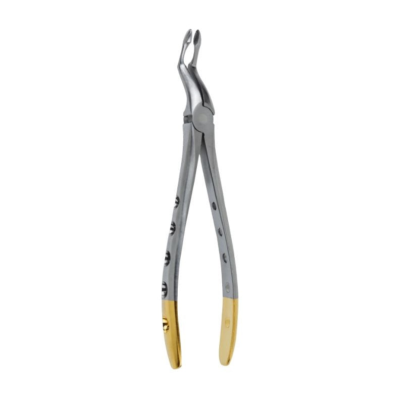 Dental Extraction Forceps F-16 Upper Root German Stainless | Surgical ...
